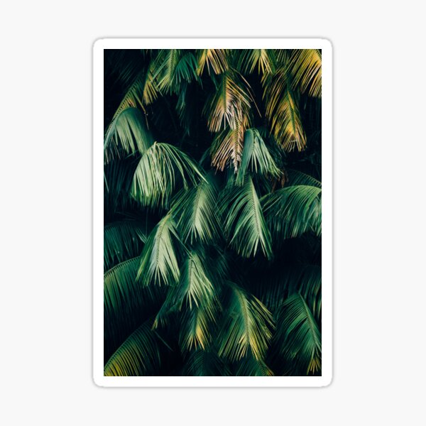 "palm leaves" Sticker by effy7 | Redbubble