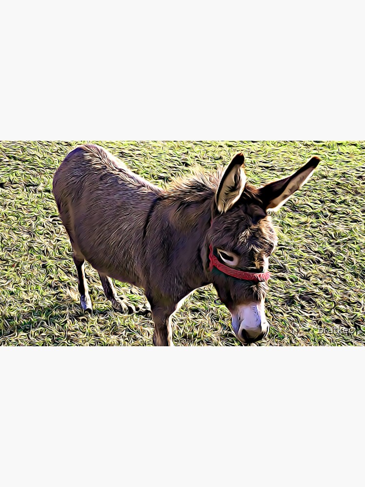 "donkey" Sticker by bratkec | Redbubble