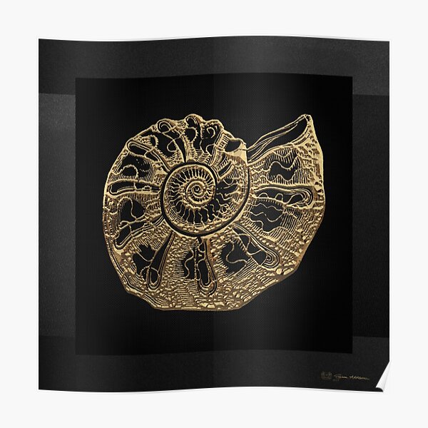 Fossil Posters | Redbubble