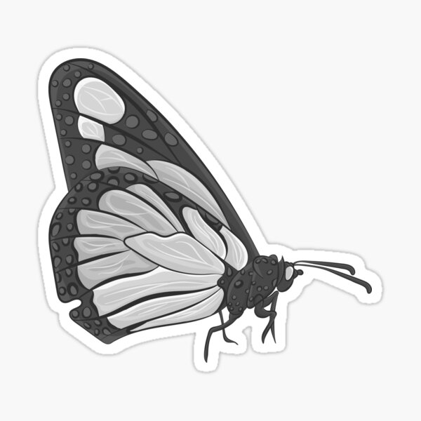 "Black flying butterfly - butterfly collection - insects - beautiful ...