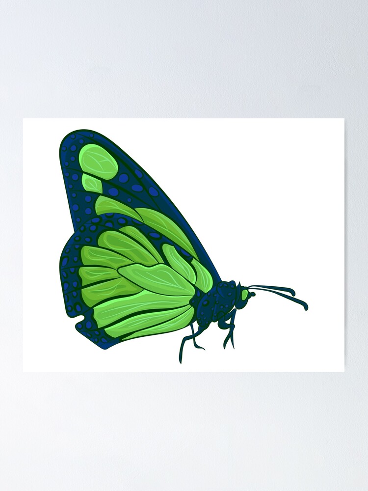 "Green flying butterfly - butterfly collection - insects - beautiful ...
