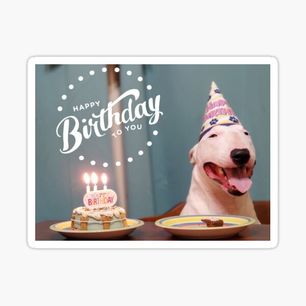 "Happy Birthday bully" Sticker for Sale by Ivan1075 | Redbubble