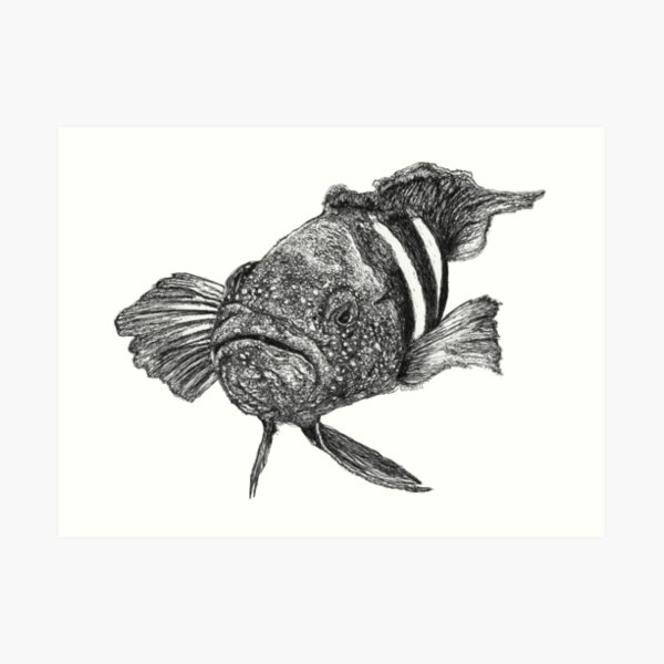 "Bluey the Eastern Blue Devil Fish" Art Print for Sale by Wildcard-Sue ...