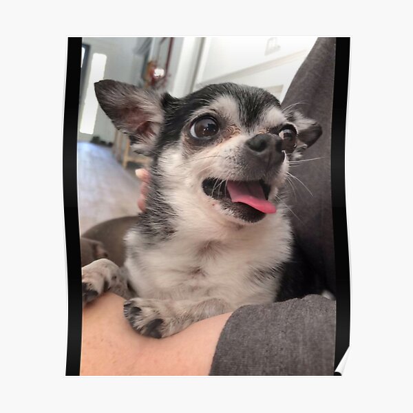 "Marbles " Poster for Sale by GlovesAndMore | Redbubble