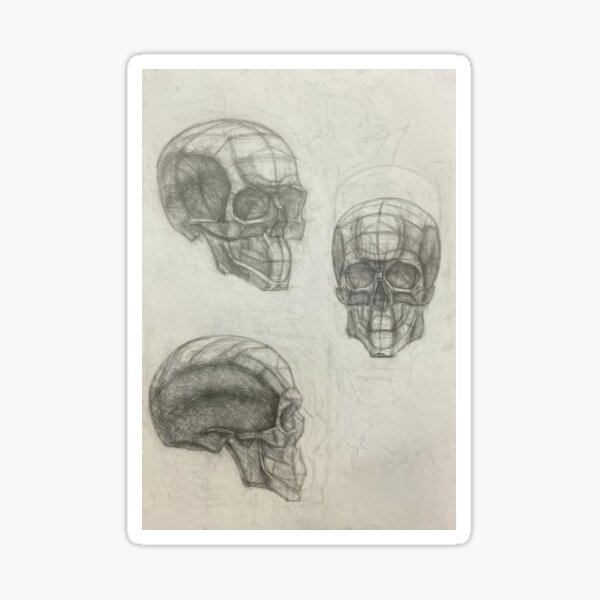 "Pencil Drawing "Skull Time"" Sticker for Sale by ThatTrantGuy | Redbubble