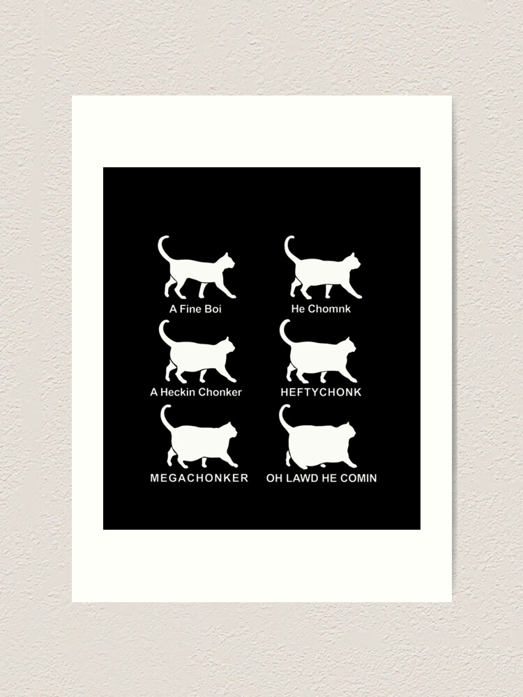 "Chonk Cat Classification Chart Funny Chonk Chart" Art Print for Sale ...