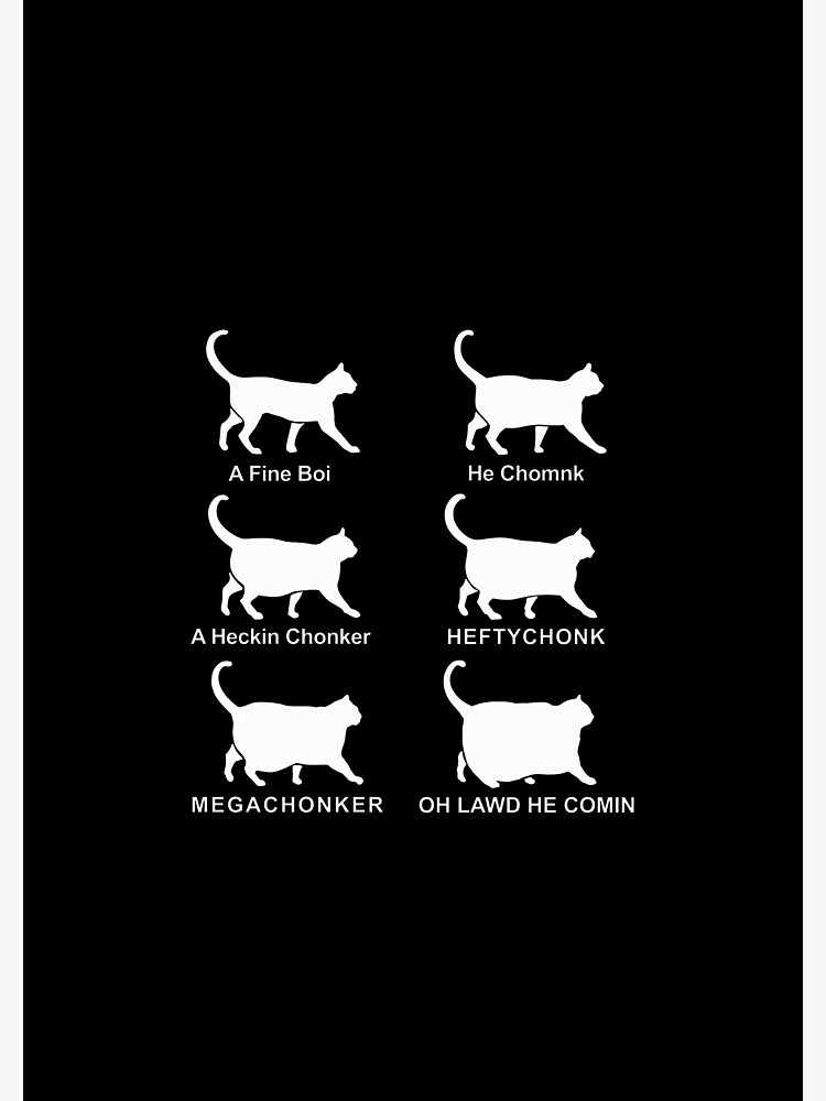 "Chonk Cat Classification Chart Funny Chonk Chart" Spiral Notebook by ...