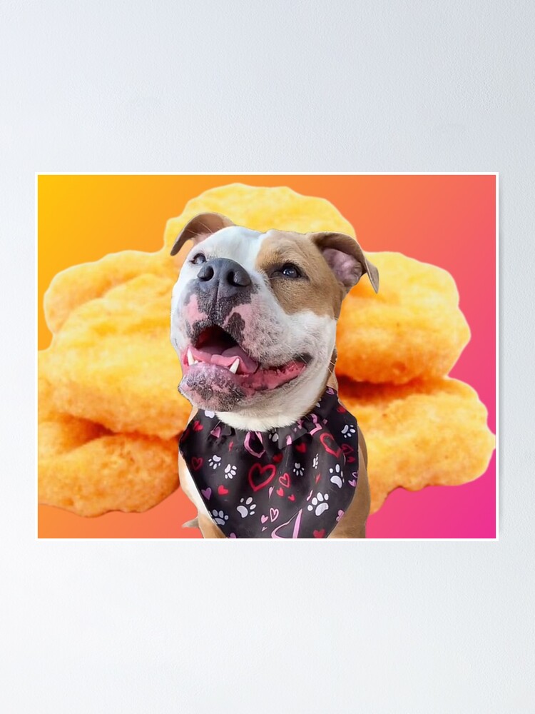 "Chicken Nugget the Dog" Poster by BestestFrens | Redbubble