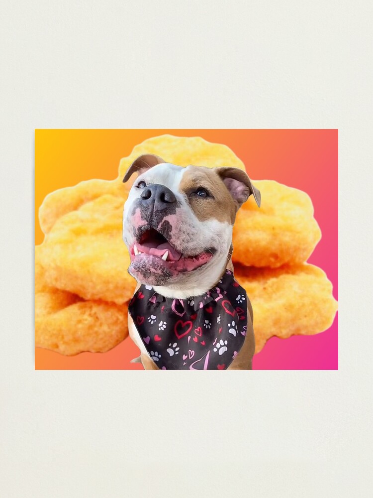 "Chicken Nugget the Dog" Photographic Print for Sale by BestestFrens ...