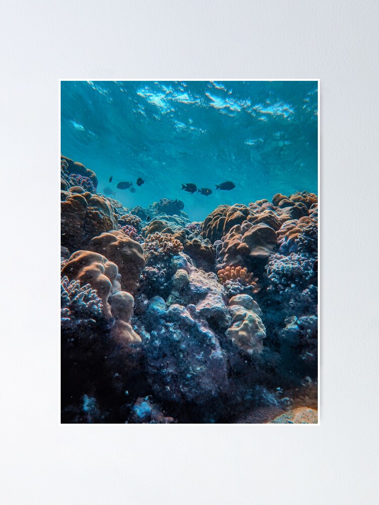 "In the depth of the ocean" Poster for Sale by Stella-Nords | Redbubble