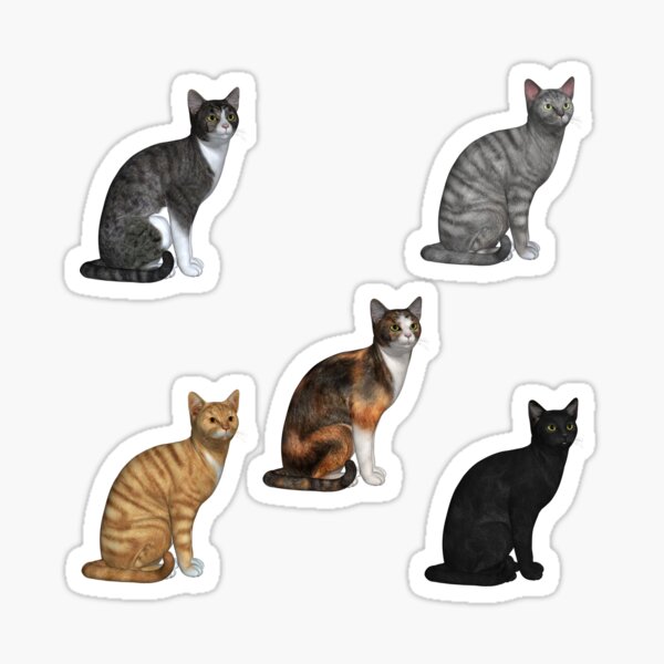 "Realistic Cats Sitting" Sticker by ArtCollectables | Redbubble
