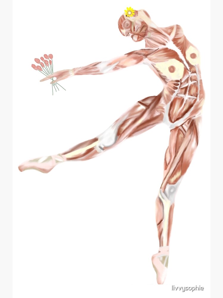 Póster «Músculos de una bailarina de ballet» de livvysophie | Redbubble