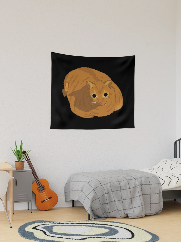 Gwa recognized gwa Potato Cat on black