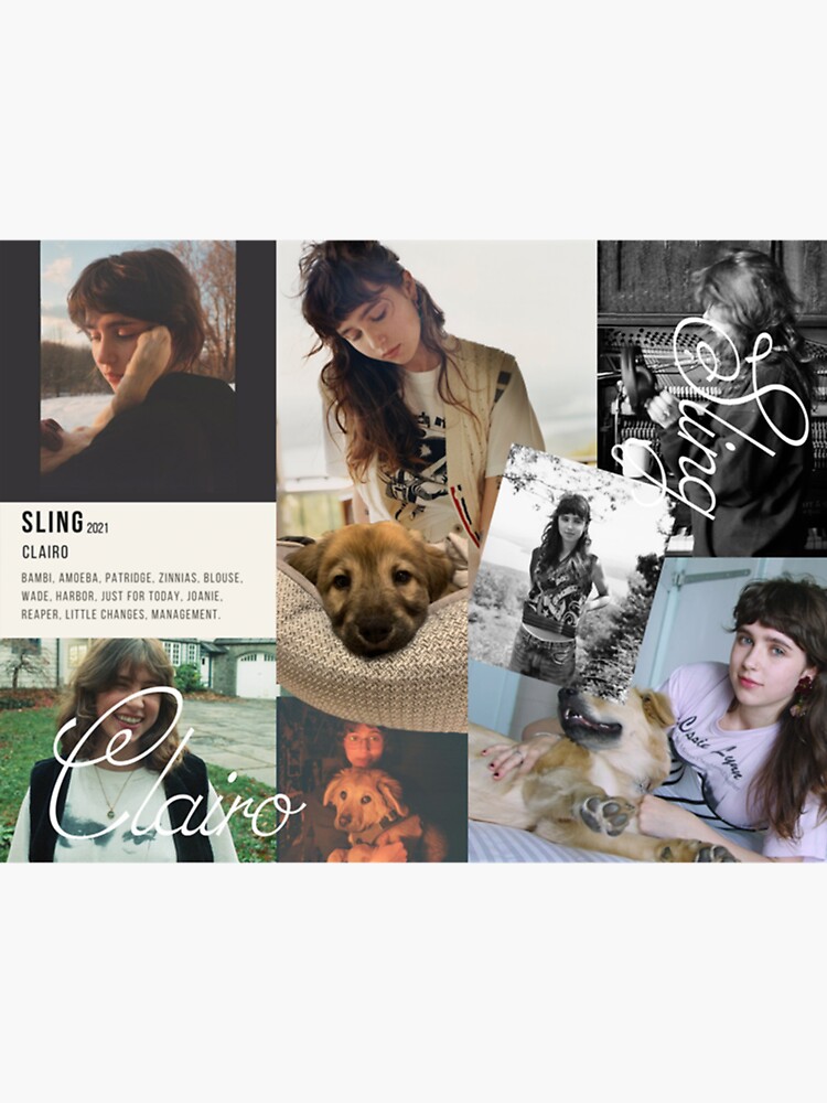 "Clairo Sling Collage Long " Sticker by PaigeCreativeU | Redbubble