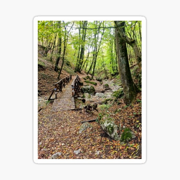 "Wooden bridge in the forest" Sticker by mylittlewebshop | Redbubble