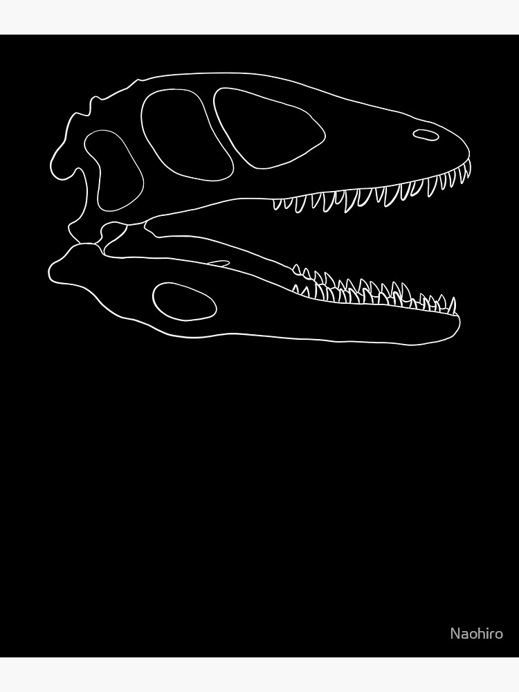Lámina fotográfica «Calavera de esqueleto fósil de dinosaurio ... Lámina fotográfica «Calavera de esqueleto fósil de dinosaurio ...