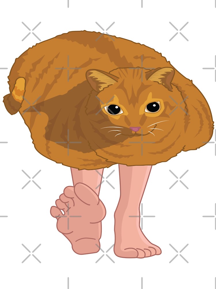 Gwa recognized gwa Potato Cat on black