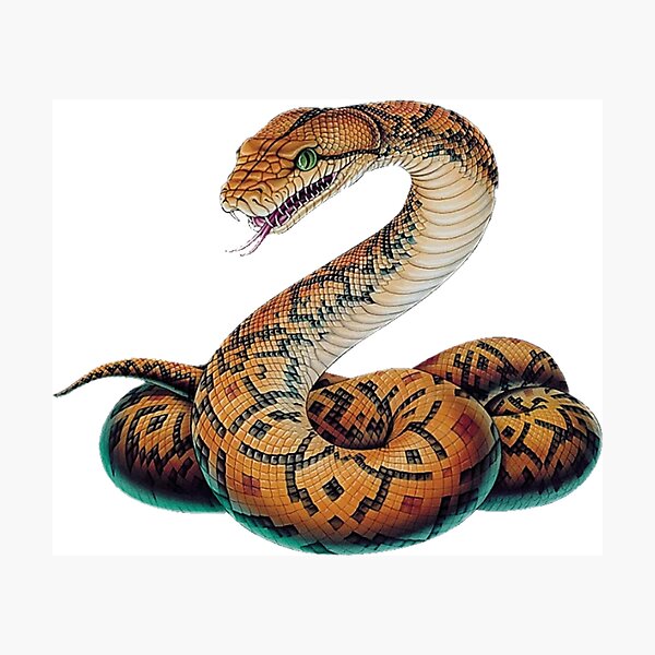 Lámina fotográfica «Serpiente el símbolo del dios de la muerte entre ...