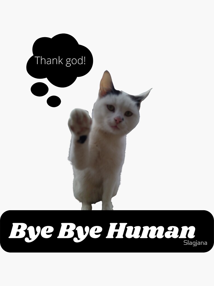 "Bye Bye Human / Funny Cat" Sticker for Sale by Slagjana | Redbubble