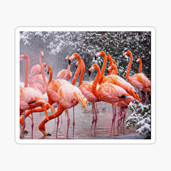 "Animals - strok" Sticker by T0nyy | Redbubble