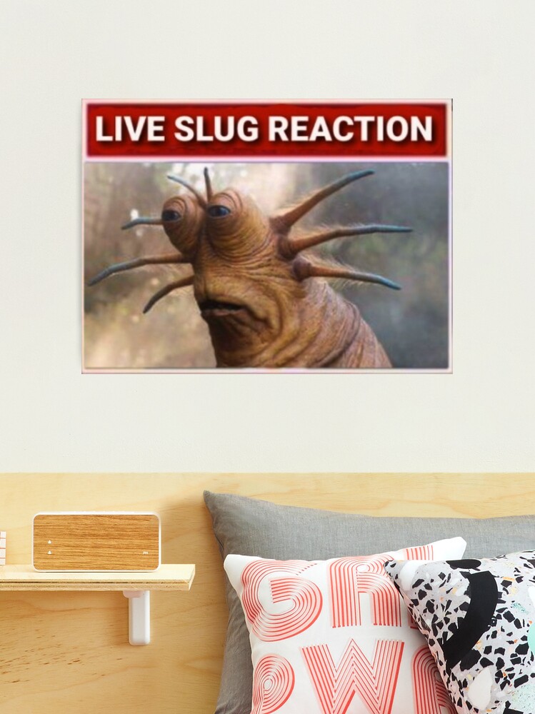 Slug Recruitment Memes 22 Glowy Skincare Memes For The Ladies Who Slug
