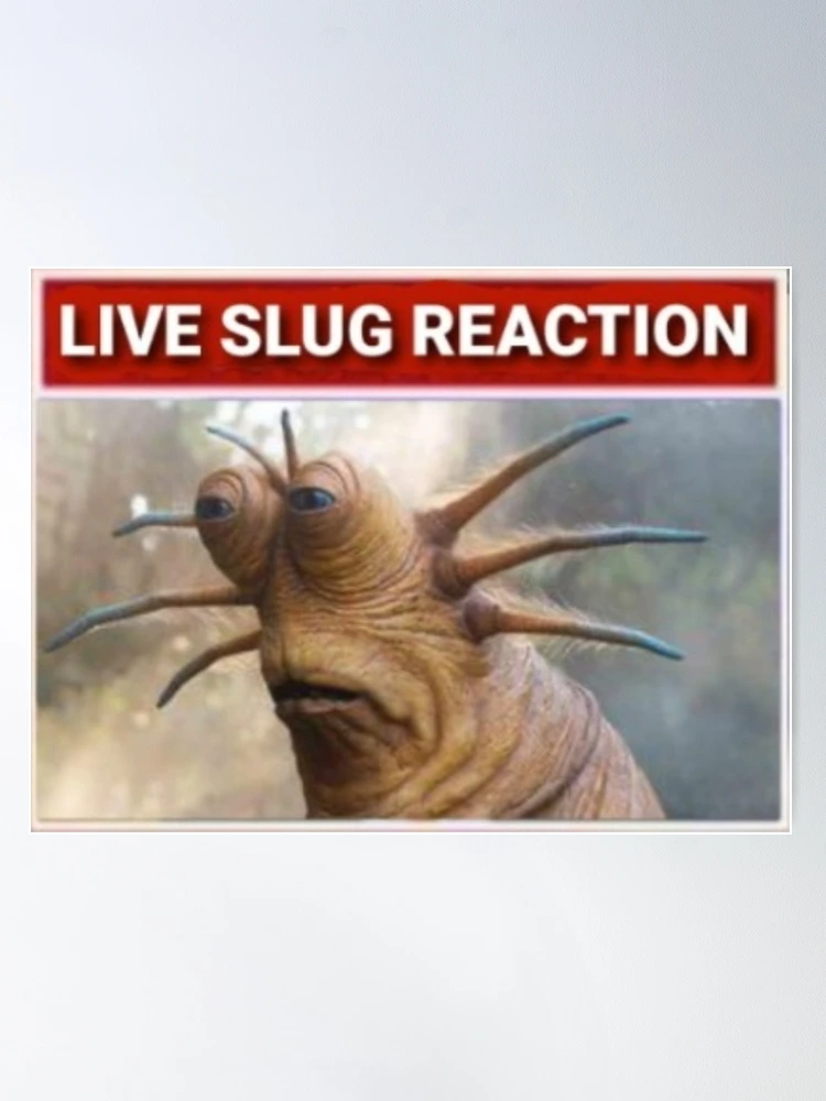 Slug Recruitment Memes