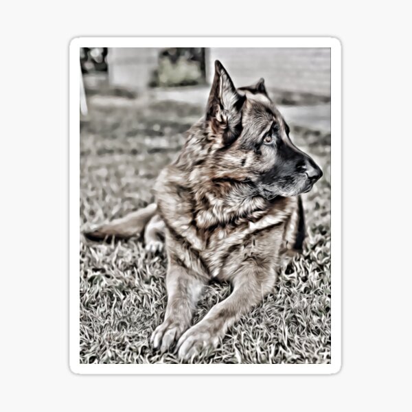 "sad dog" Sticker for Sale by Ninolino3 | Redbubble