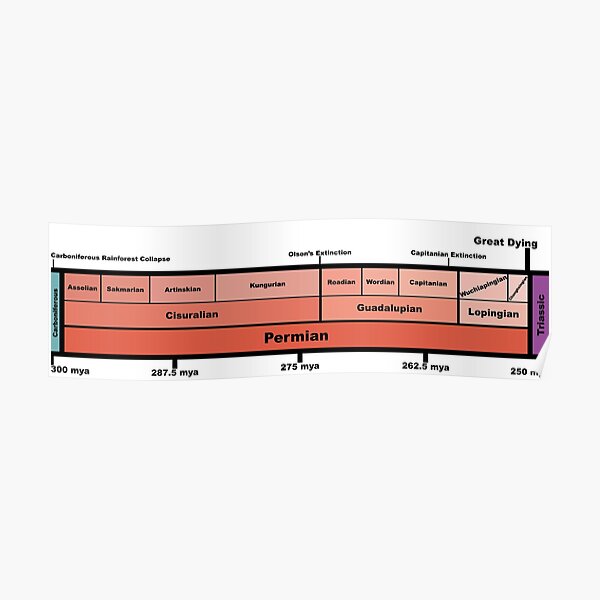 "Permian Timeline" Poster for Sale by DinosaurBiology | Redbubble