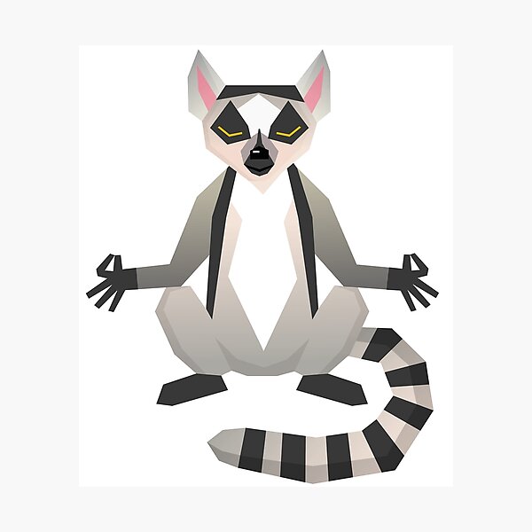 "Sea of Thieves Compass,I Am Thankful For Primates,Flower Crown Aye Aye ...