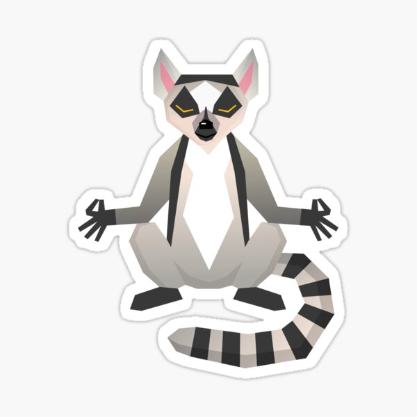 "Sea of Thieves Compass,I Am Thankful For Primates,Flower Crown Aye Aye ...