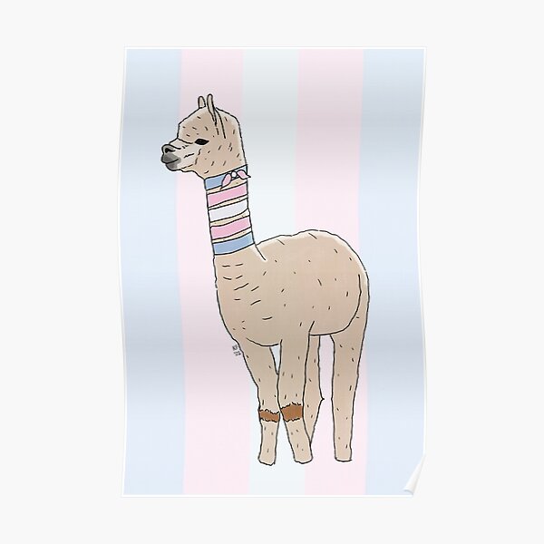 Póster «Llama de dibujos animados del orgullo trans» de kylepeterart ...