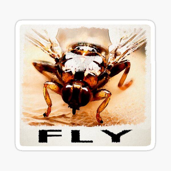 "fly, fly insect" Sticker for Sale by Pixua | Redbubble