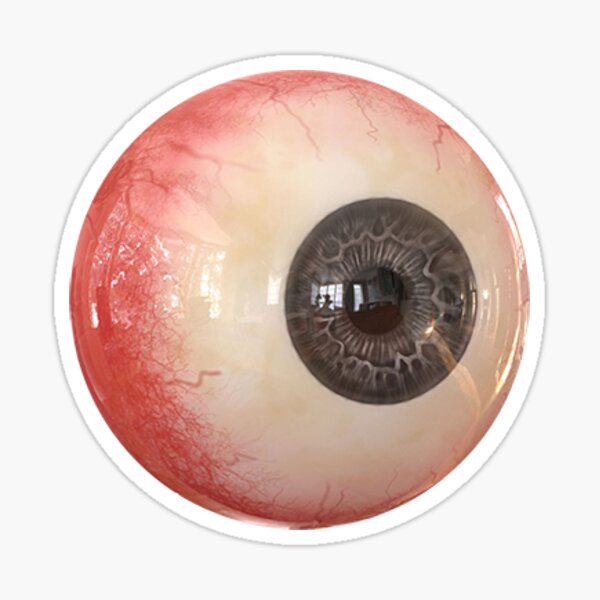 "eye realism" Sticker for Sale by NOILDESIGN | Redbubble