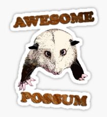 Possum: Stickers | Redbubble