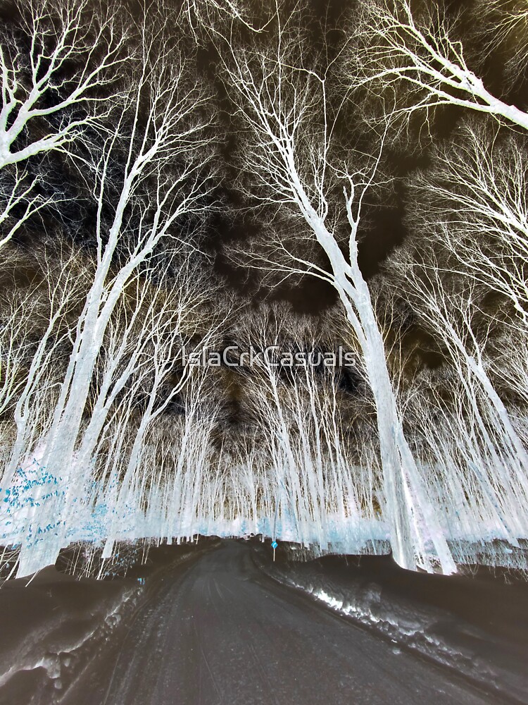 "Negative Forest" Sticker for Sale by IslaCrkCasuals | Redbubble