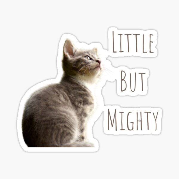 "Little But Mighty" Sticker by MessyMomCreates | Redbubble