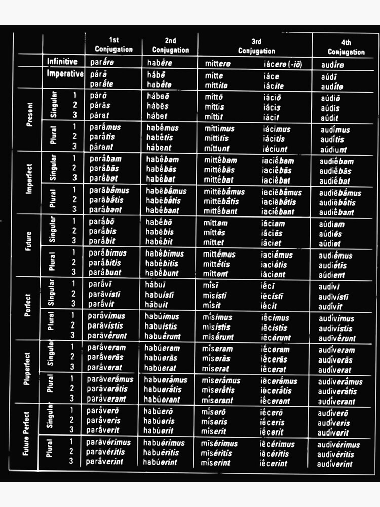 "Latin Declensions - Not Very Readable But Cool Looking " Poster for ...