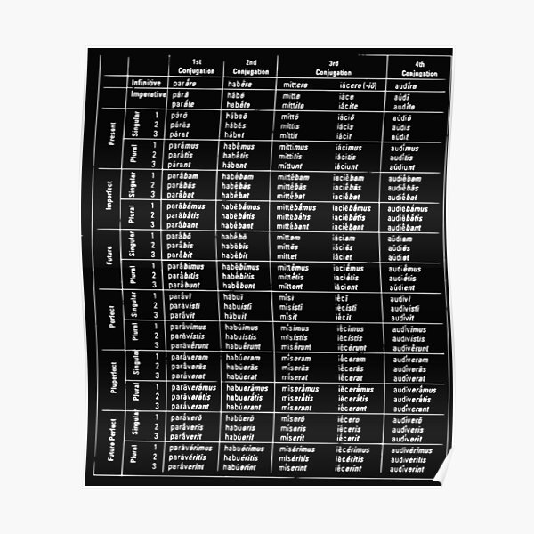"Latin Declensions - Not Very Readable But Cool Looking " Poster for ...