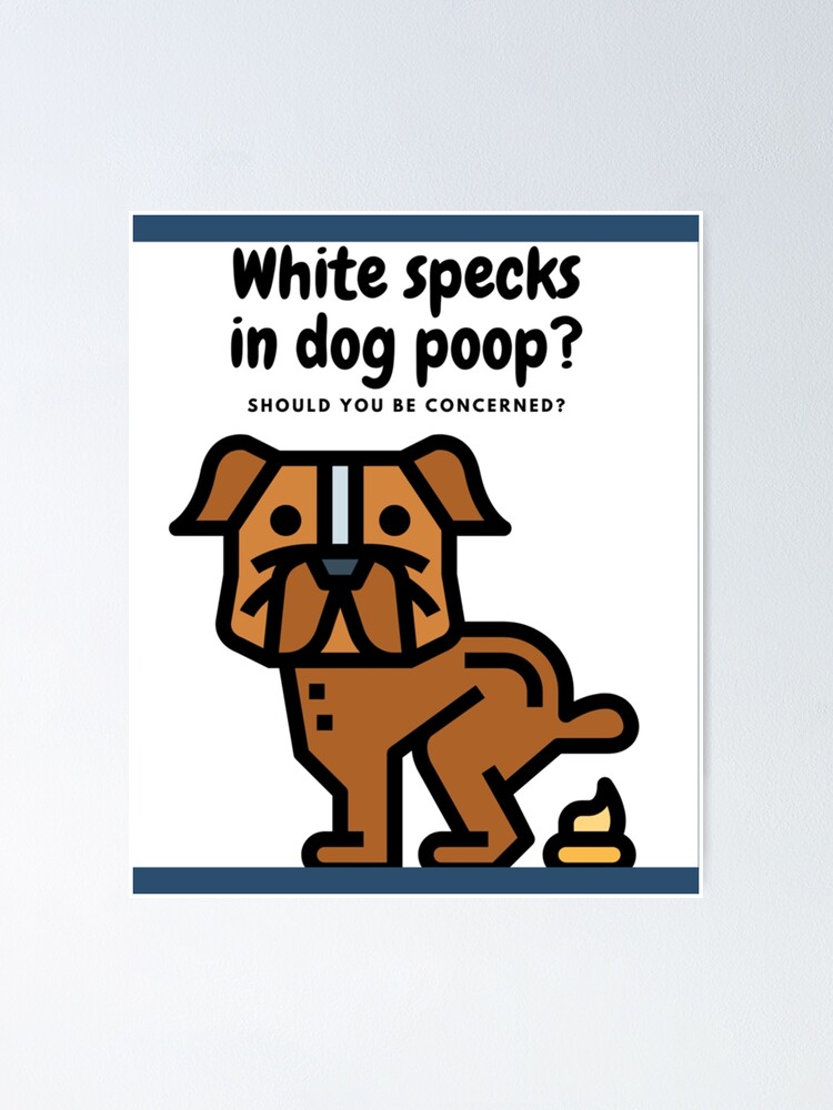 "Funny Pooping Dog ,Dogs Pooping ,Dog Pooping Funny ,Dogs Pooping ...