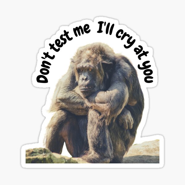 "Dont test me I will cry at you | sad monkey" Sticker for Sale by Will ...