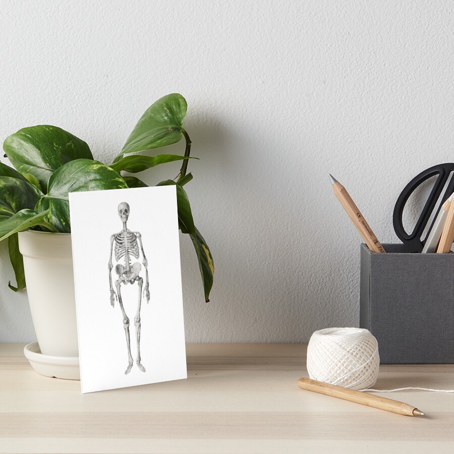 "Forward facing skeleton" Art Board Print by rogt4 | Redbubble