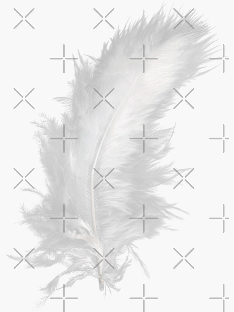 "White Feather" Sticker by ZARANOOR2022 | Redbubble