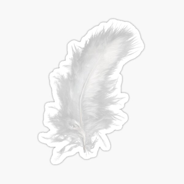 "White Feather" Sticker by ZARANOOR2022 | Redbubble