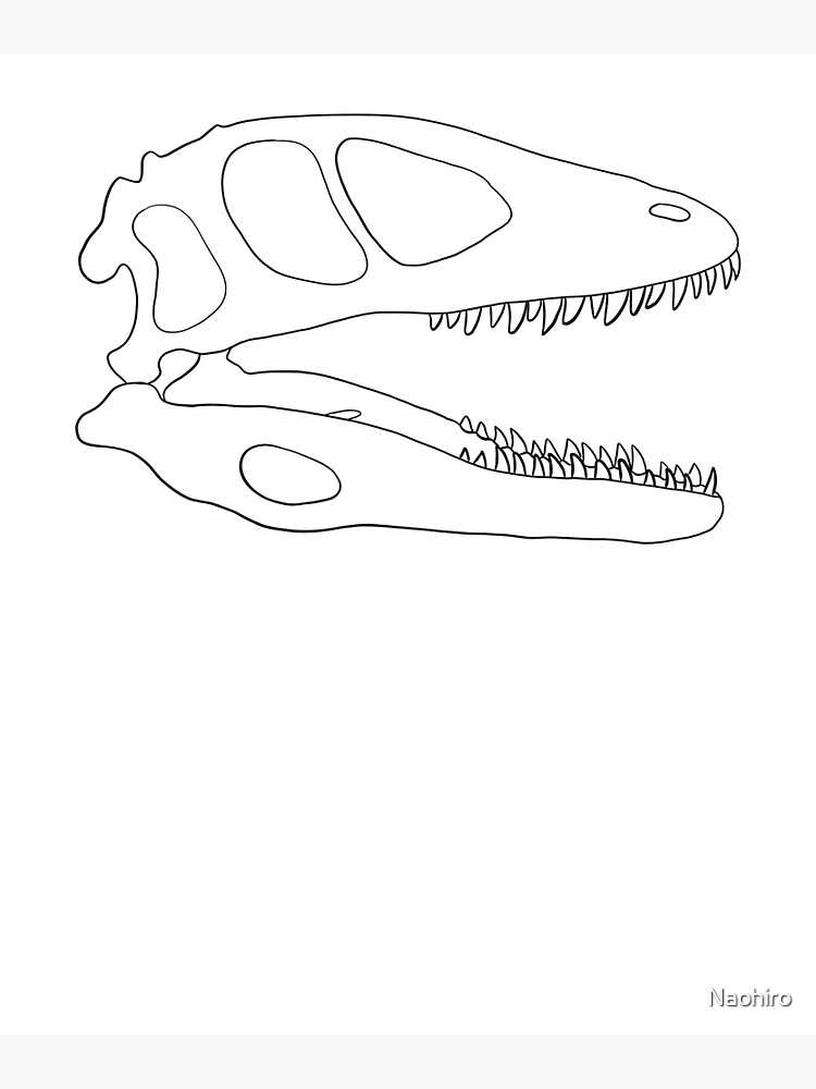 Lámina fotográfica «Calavera de esqueleto fósil de dinosaurio ... Lámina fotográfica «Calavera de esqueleto fósil de dinosaurio ...