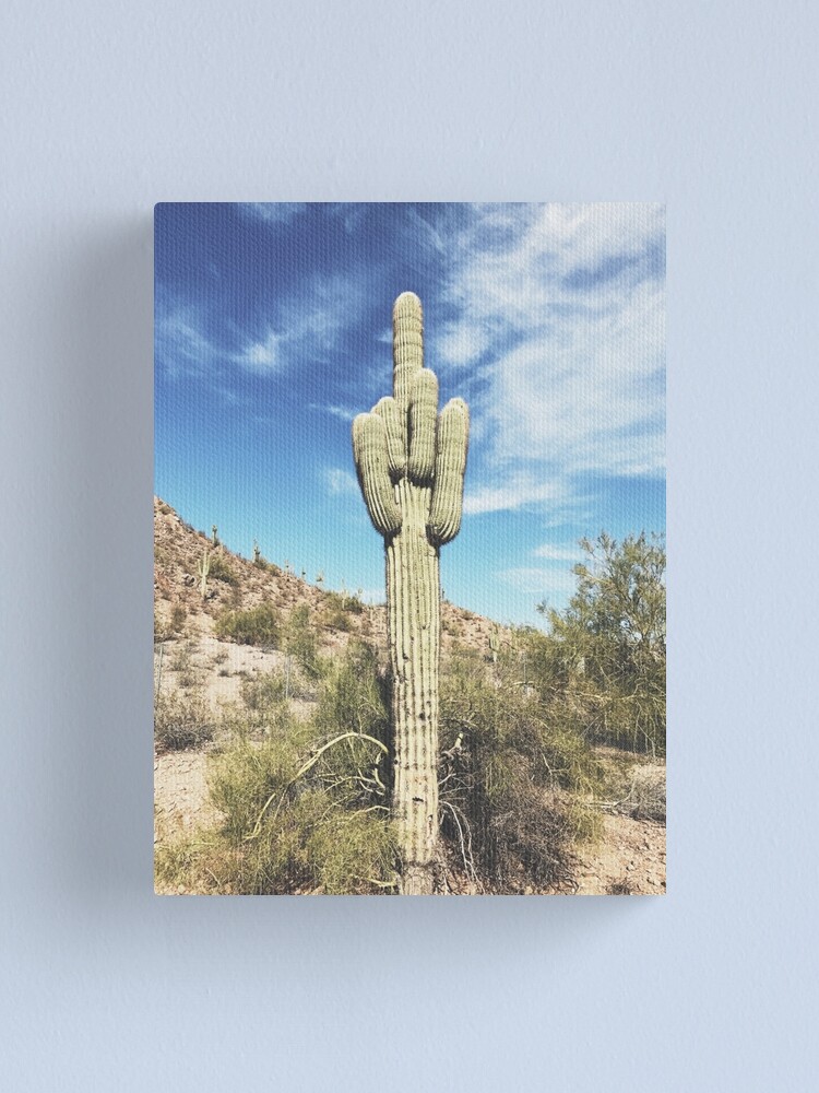 "Middle Finger Cactus" Canvas Print by annobuenho | Redbubble