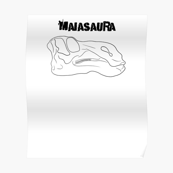 "dinosaur maiasaura fossil skeleton skull" Poster for Sale by Naohiro ...