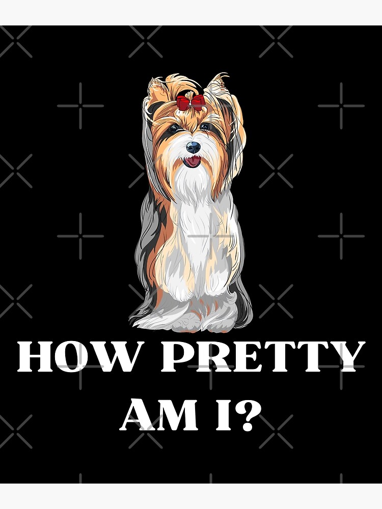"How Pretty Am I?" Poster for Sale by DeversDesigns | Redbubble