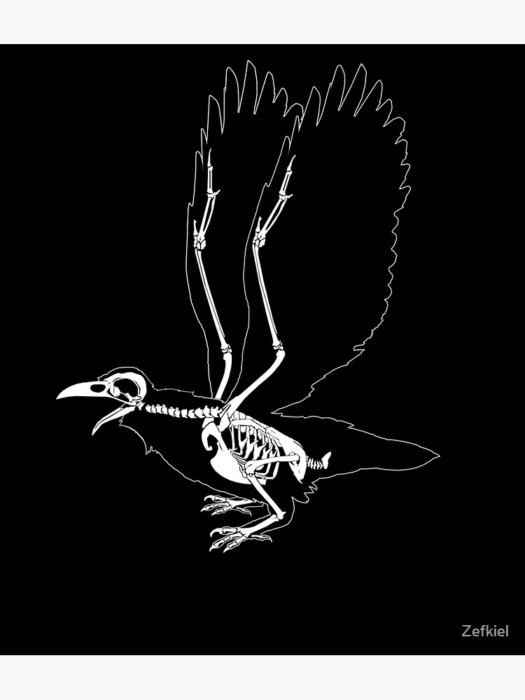 Flying Raven Skeleton Raven Sksleton Photograph By LuAnn Griffin