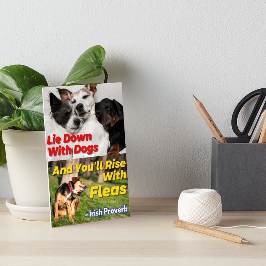 "Irish Proverb - Lie Down With Dog And You'll Rise With Fleas" Art ...