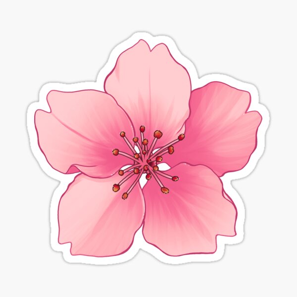 "One standalone cherry blossom sakura flower in pink" Sticker by ...